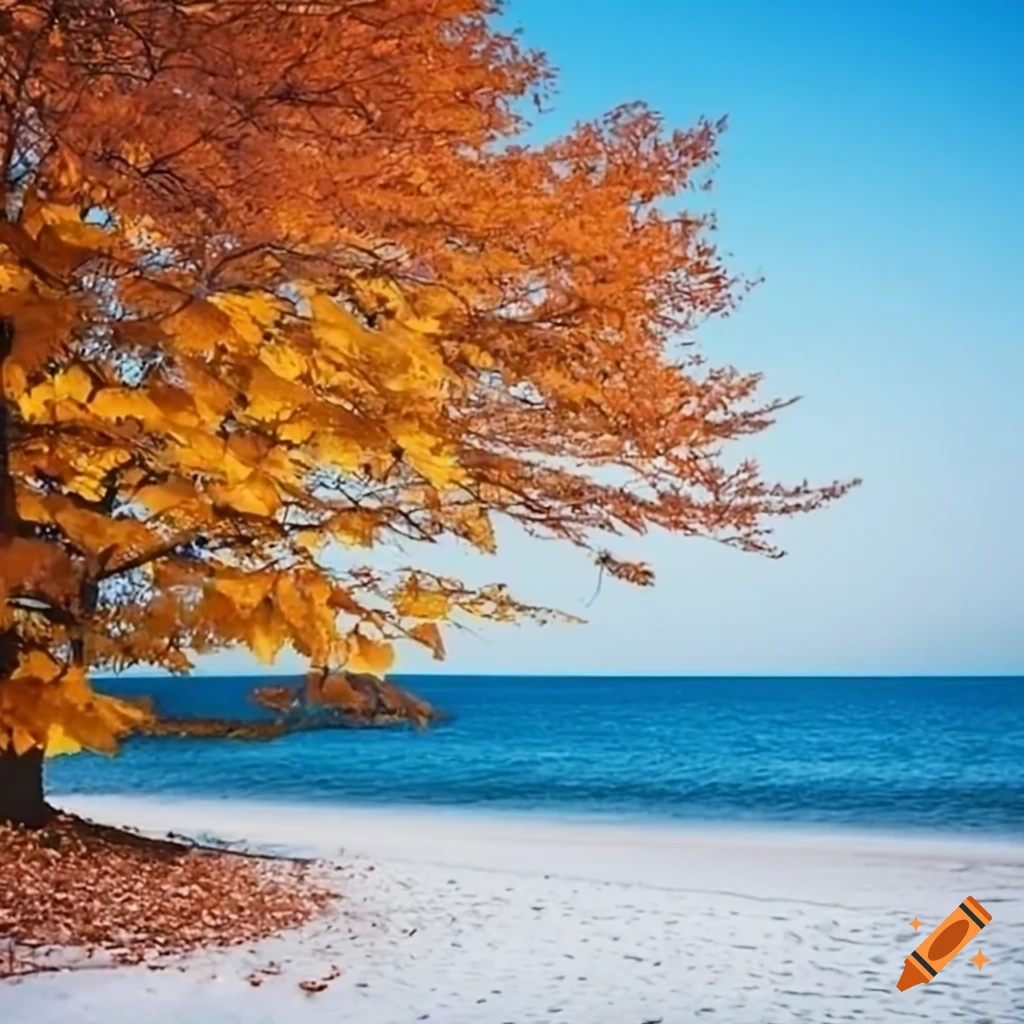 Summer beach, snow, autumn leaves, spring trees on Craiyon