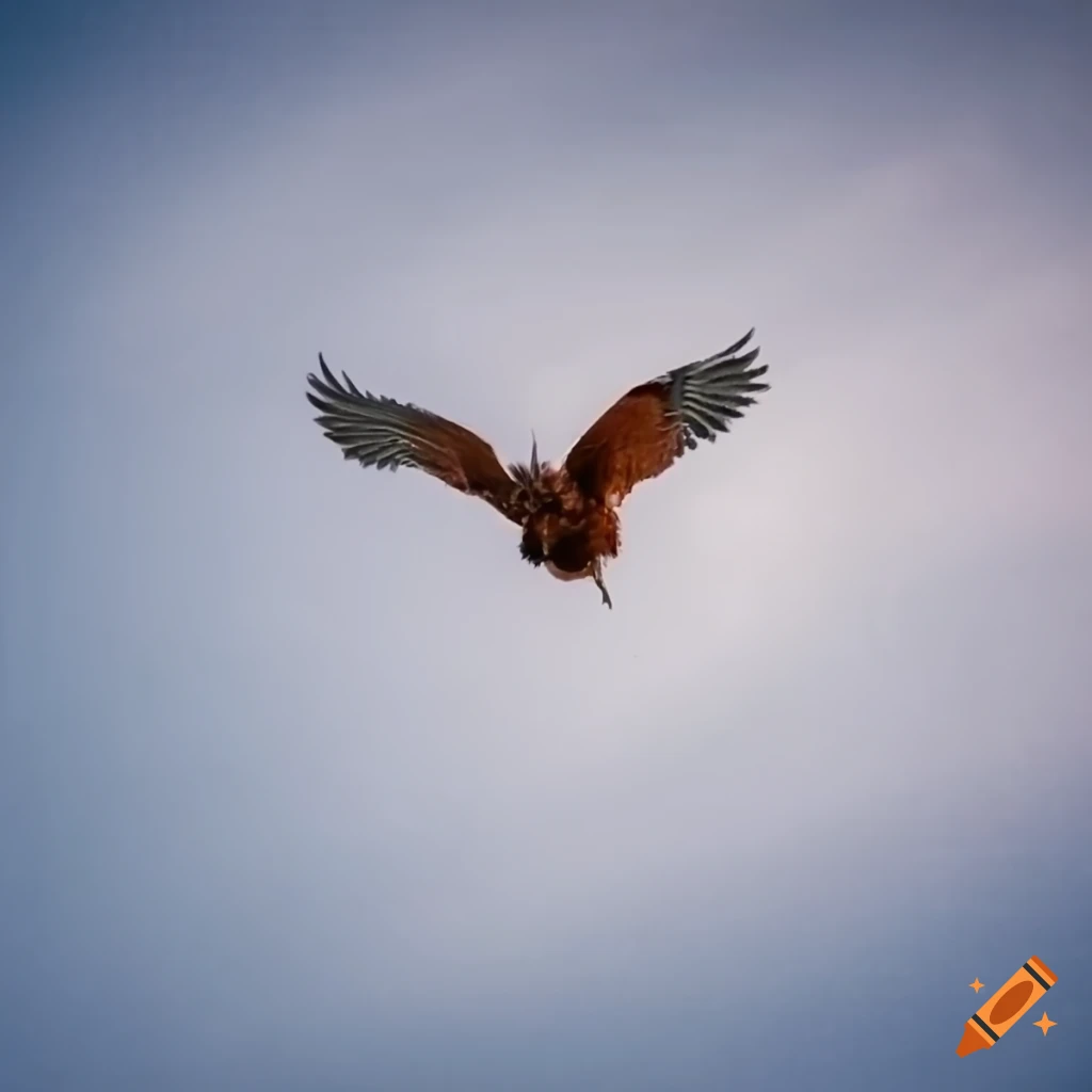 A chicken sky diving on Craiyon