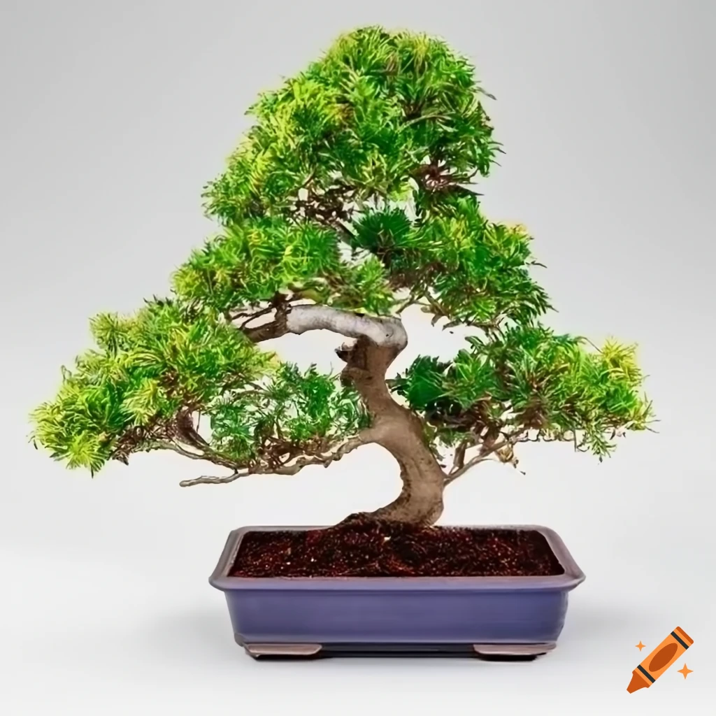 Bonsai tree black 2d in circle