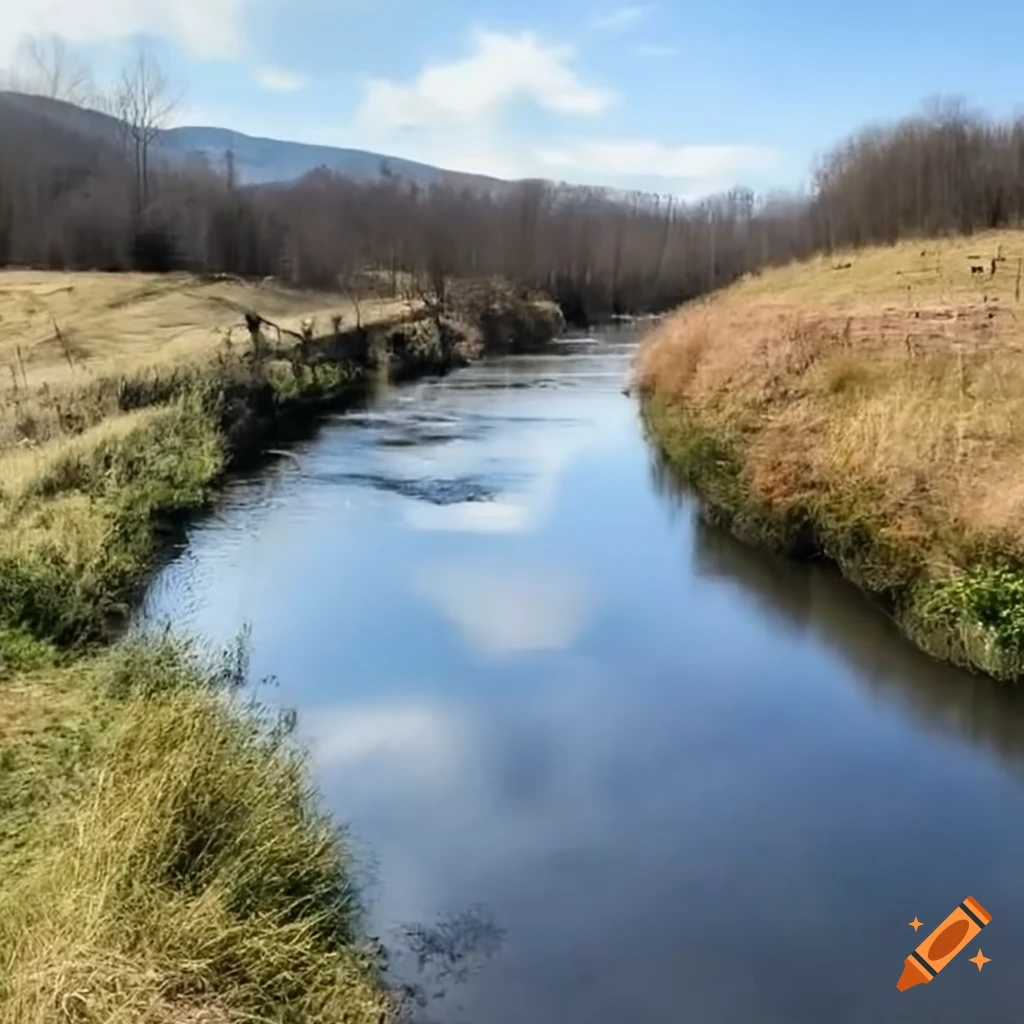 Scenic view of a river in a clearing