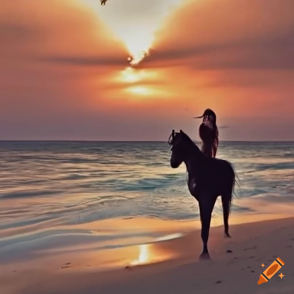 Schwarzes pferd am strand bei sonnenuntergang