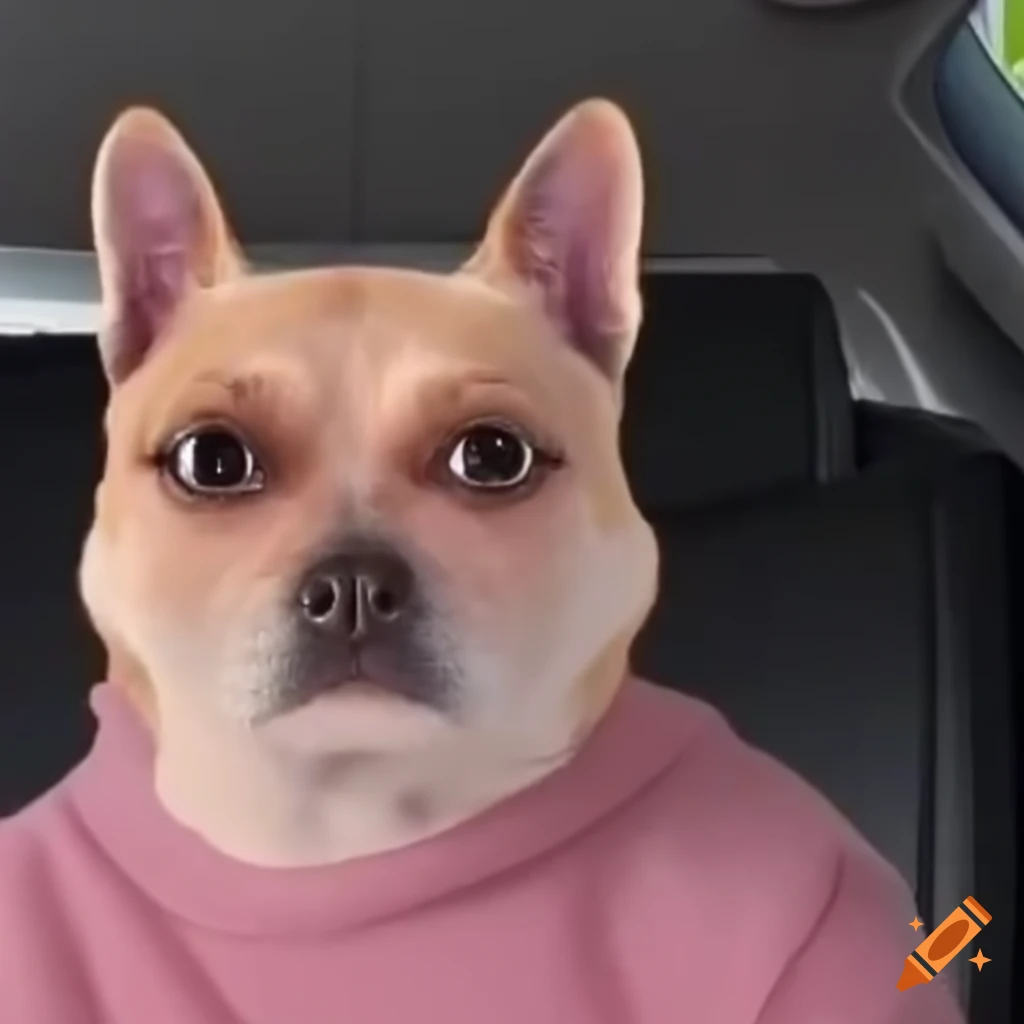 Dog with baddie makeup filter in a funny meme on Craiyon