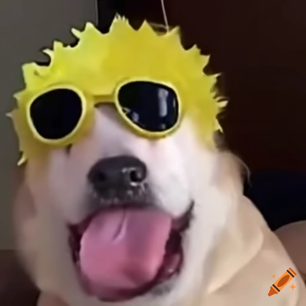 Dog wearing baddie filter with pop-star costume and wig