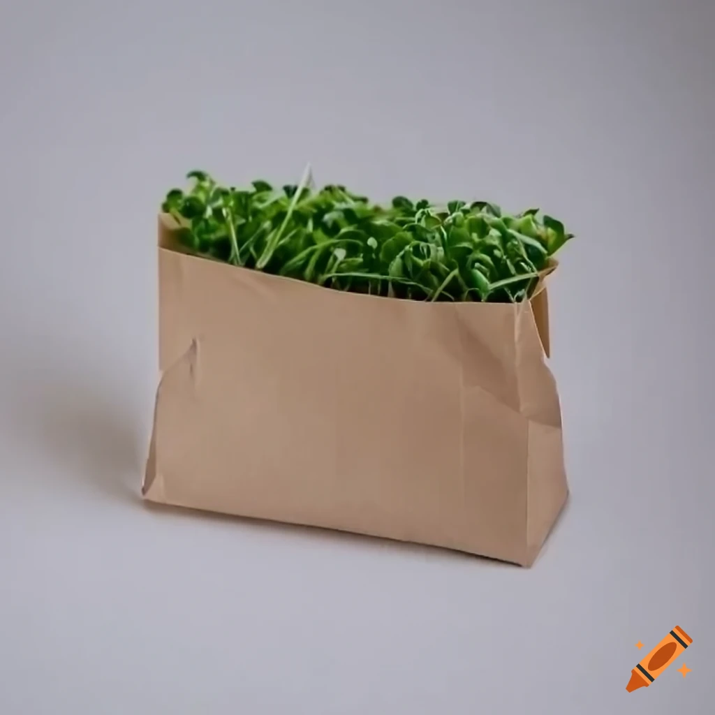 Paper bag for growing microgreens on Craiyon