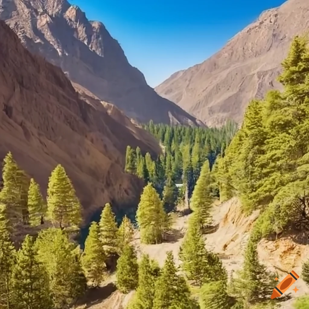 Dry mountain pine forests in afghanistan on Craiyon