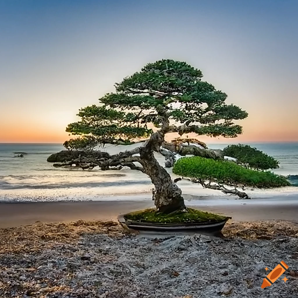 Bonsai trees on the beach on Craiyon