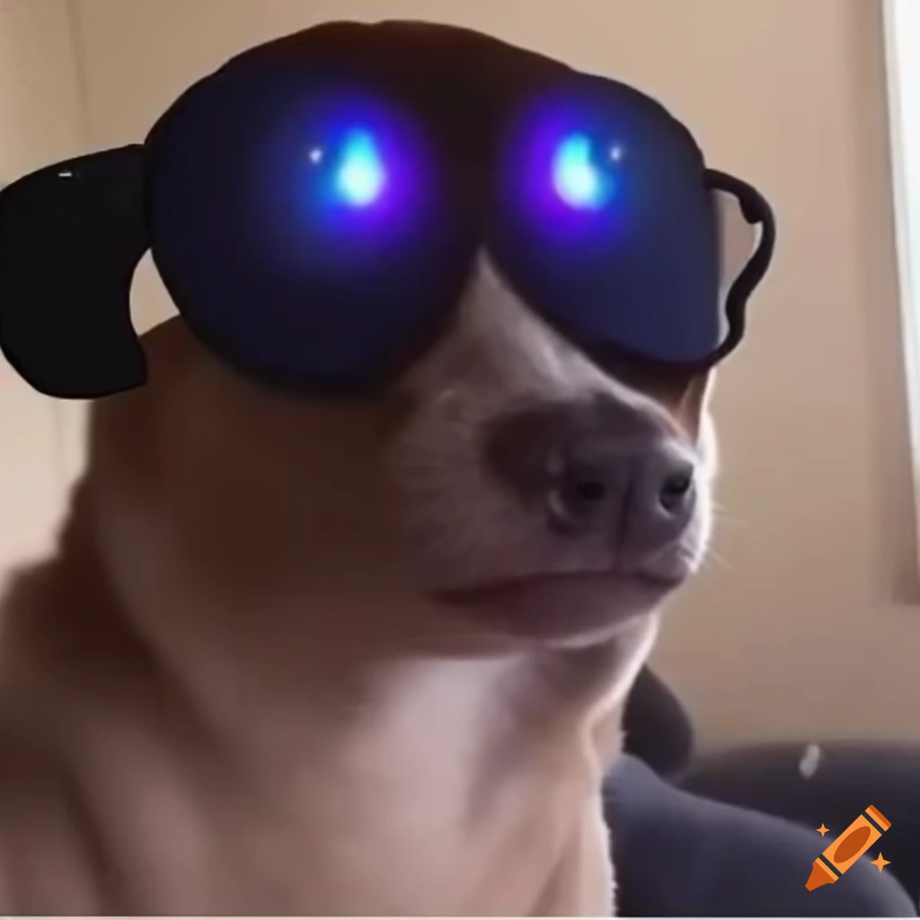 Dog meme with galaxy eyes filter on Craiyon