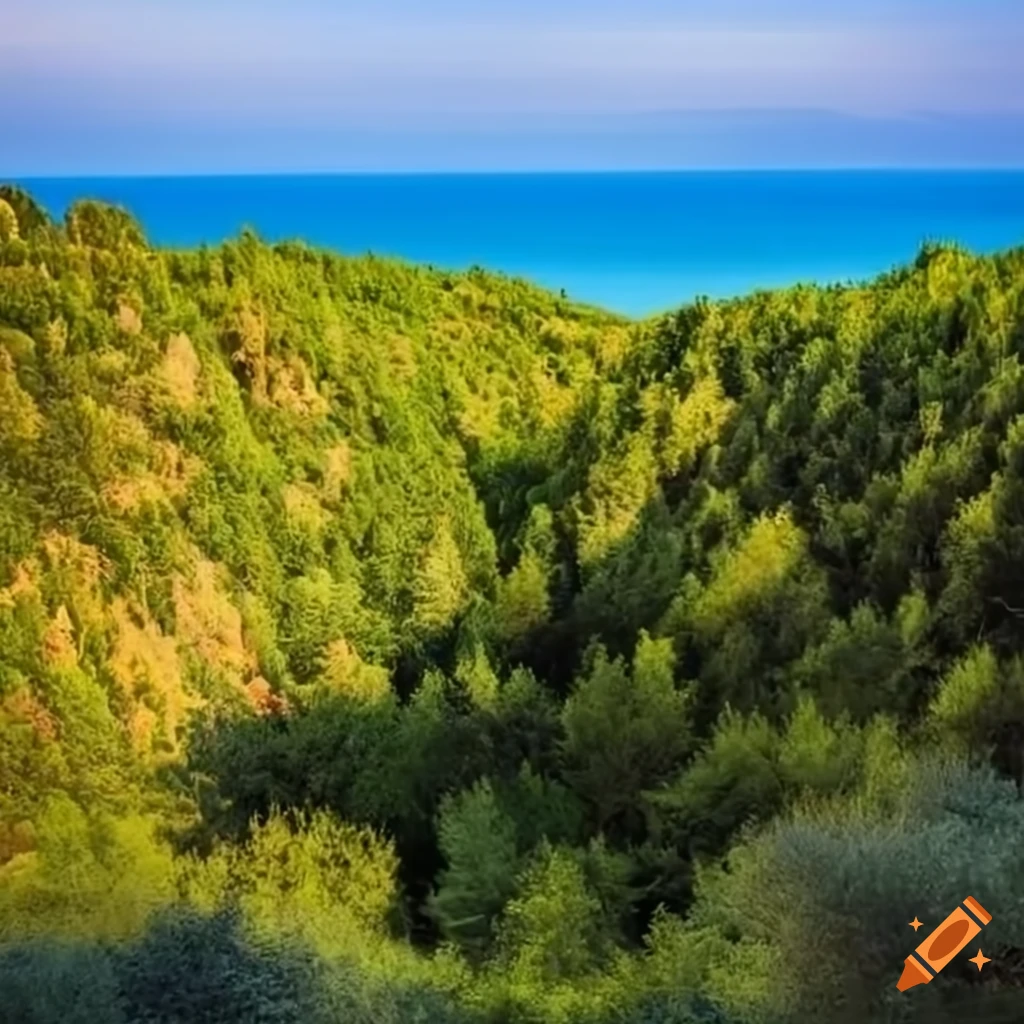 Split-image landscape of vibrant green forest and arid desert on Craiyon