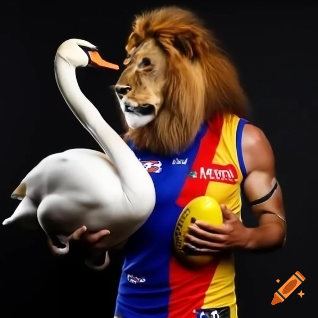 Lion holding afl football wearing brisbane lions colors, with white ...